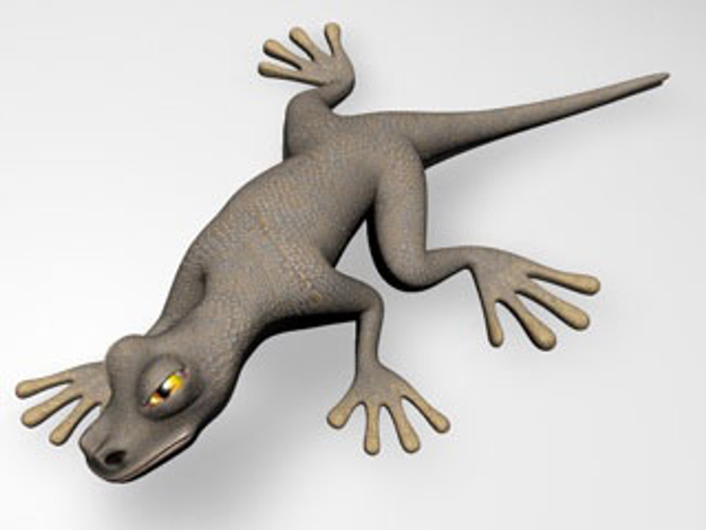 Lizard 3d Model
