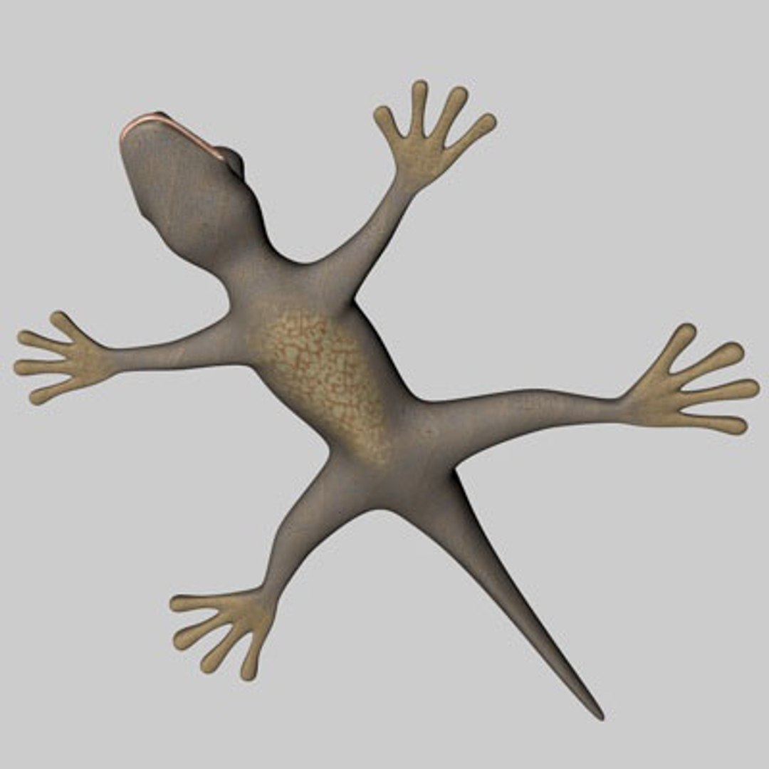Lizard 3d Model