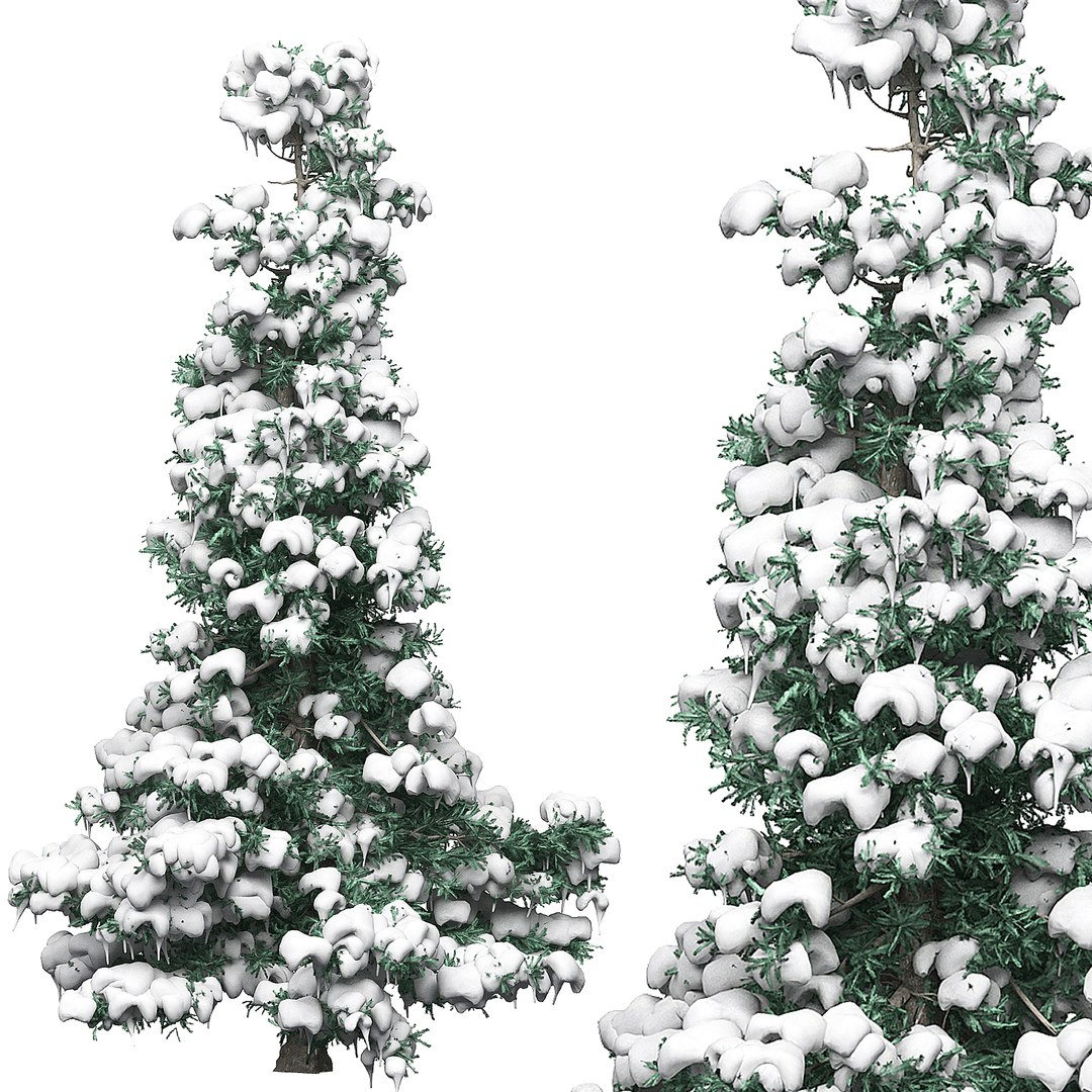 Spruce 2 3D - TurboSquid 1651976