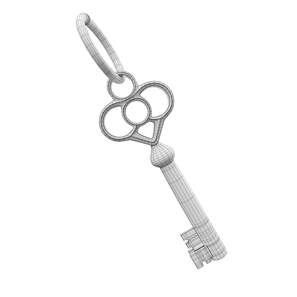 Metal key 3D model - TurboSquid 1982416