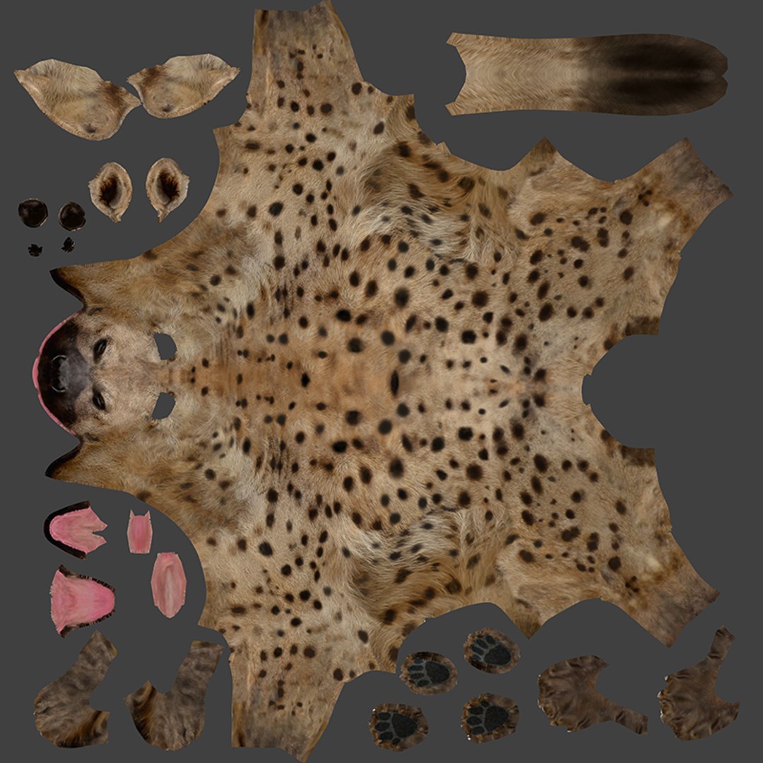 Hyena Animated Fur1 3D model - TurboSquid 1861004