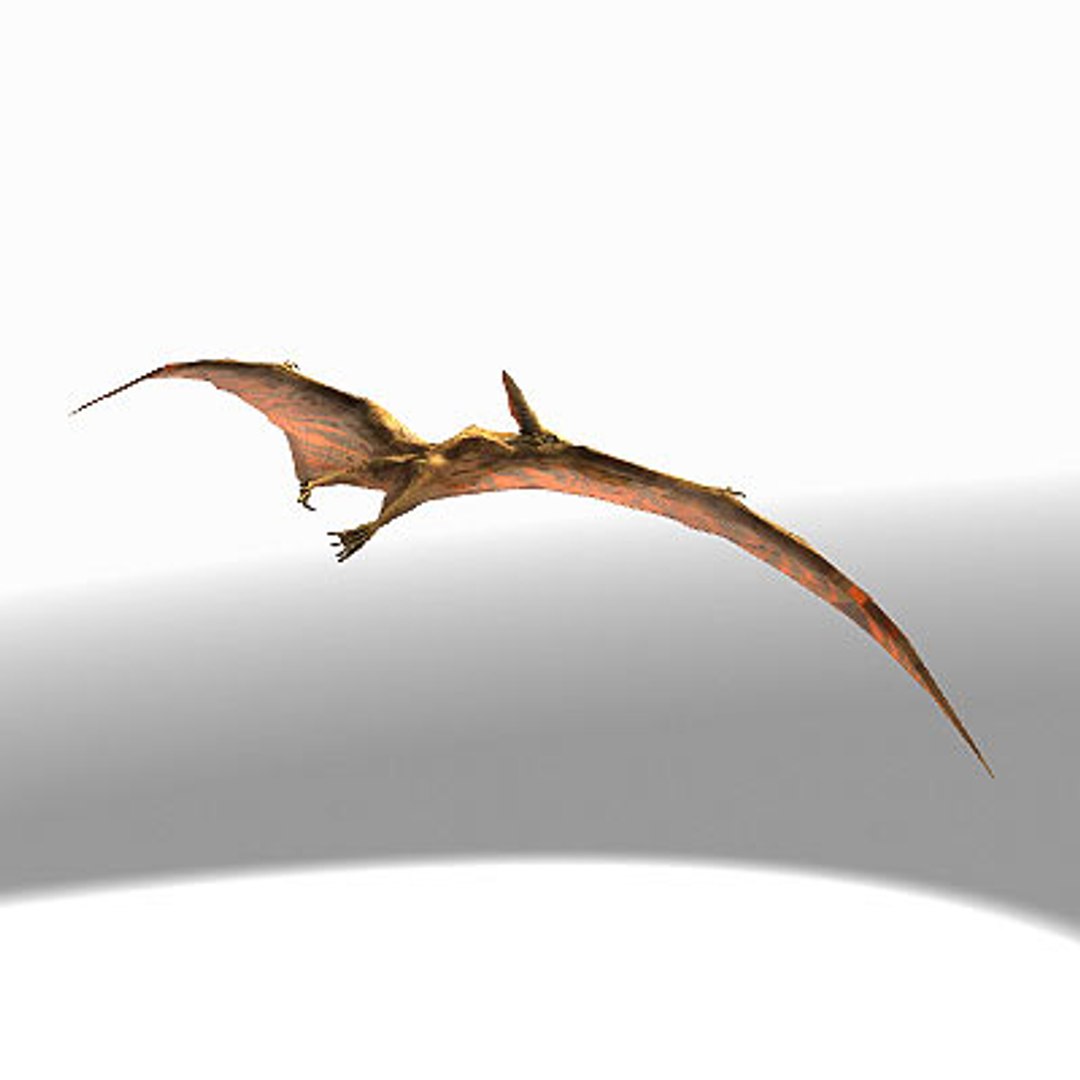 Flying Pterosaur 3d Lwo
