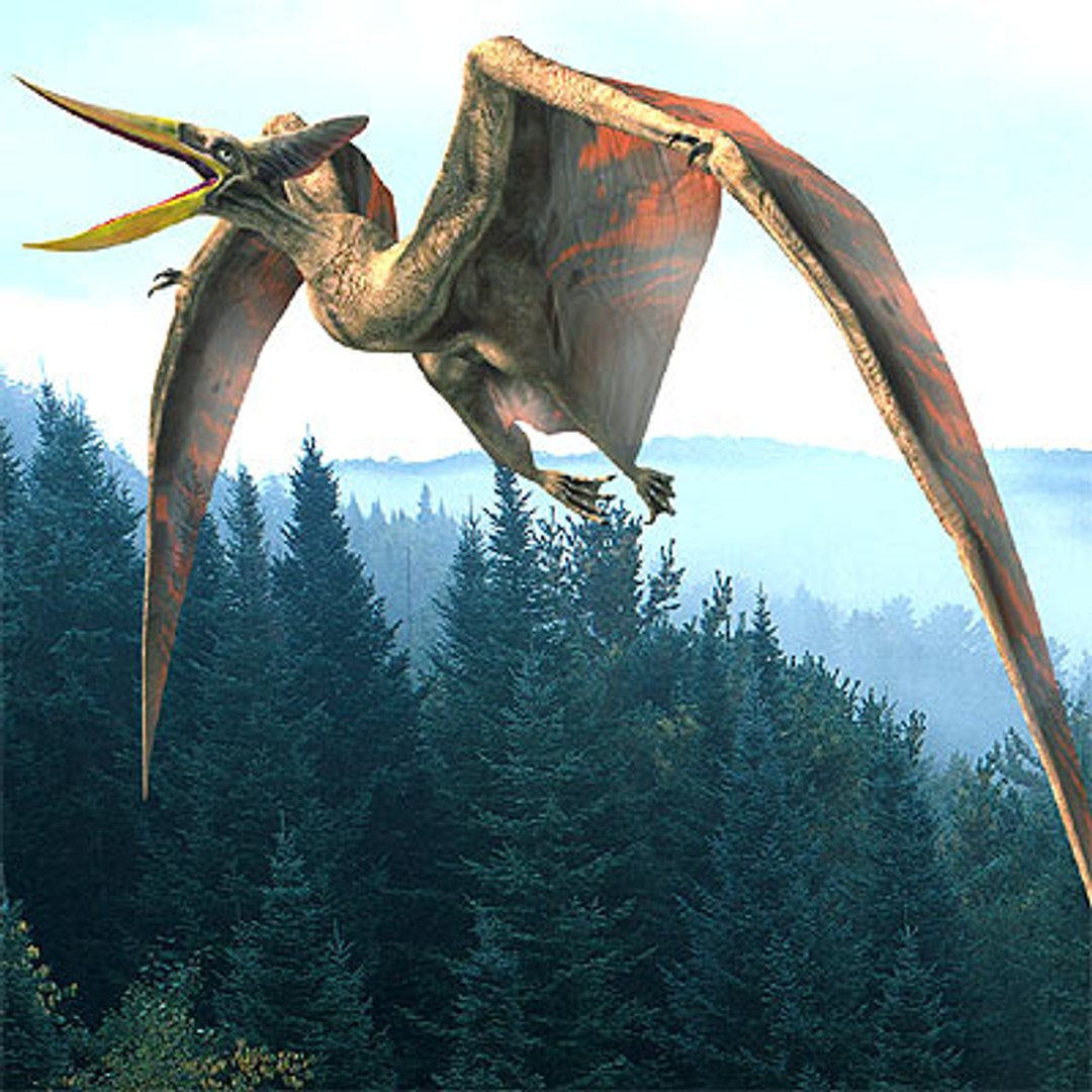 Flying Pterosaur 3d Lwo