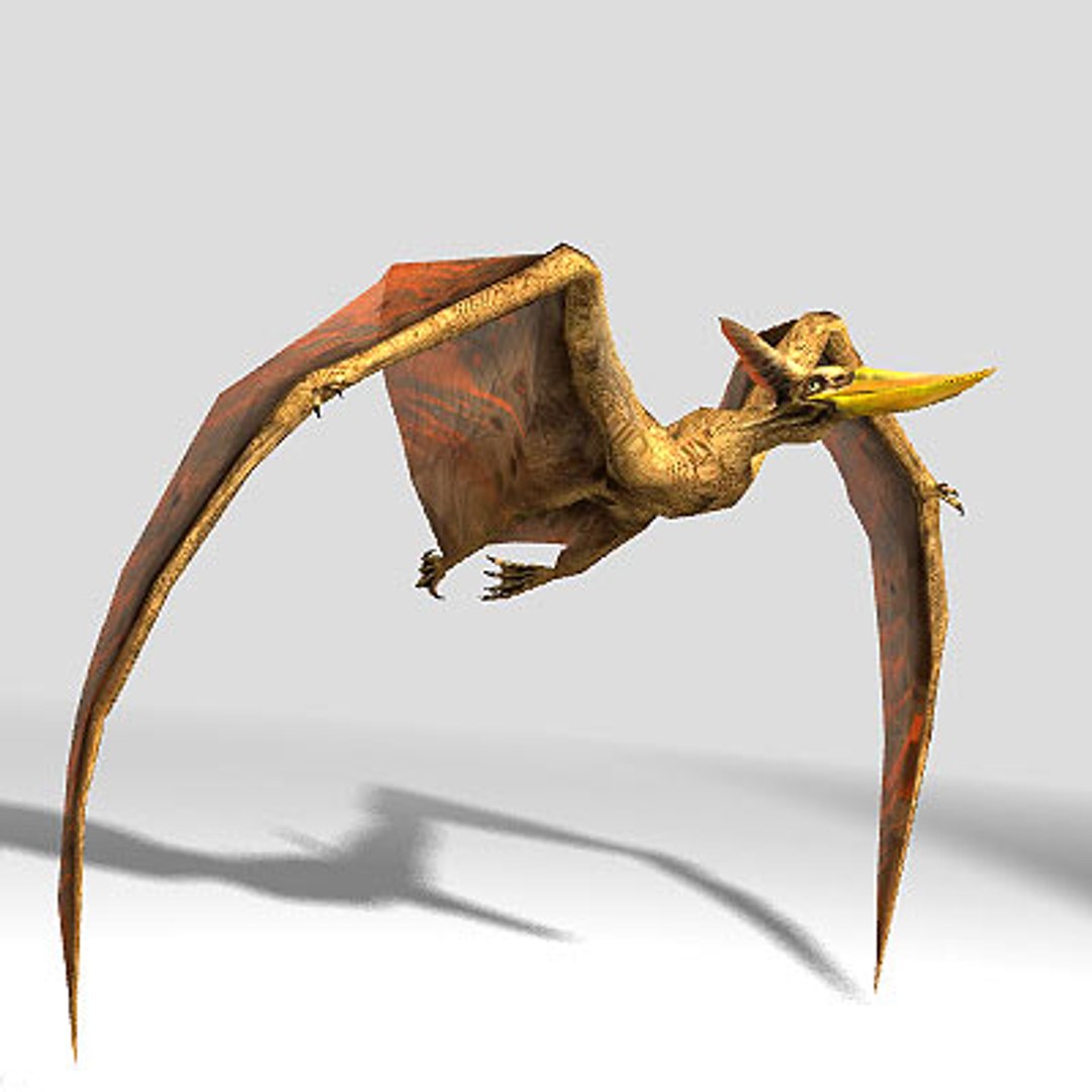 Flying Pterosaur 3d Lwo