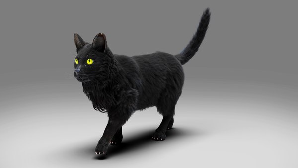 modelo 3d Fur Cat Black Rigged and Animated - TurboSquid 1981416