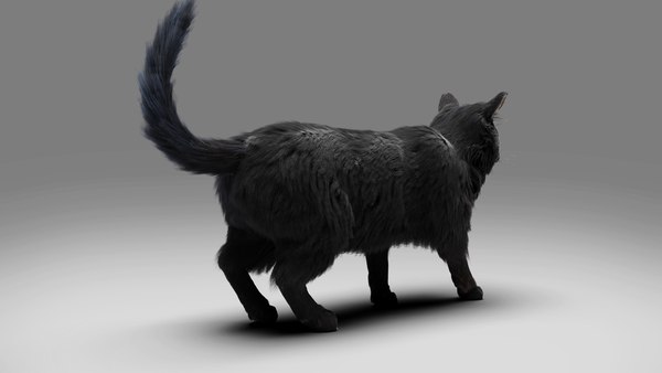 modelo 3d Fur Cat Black Rigged and Animated - TurboSquid 1981416