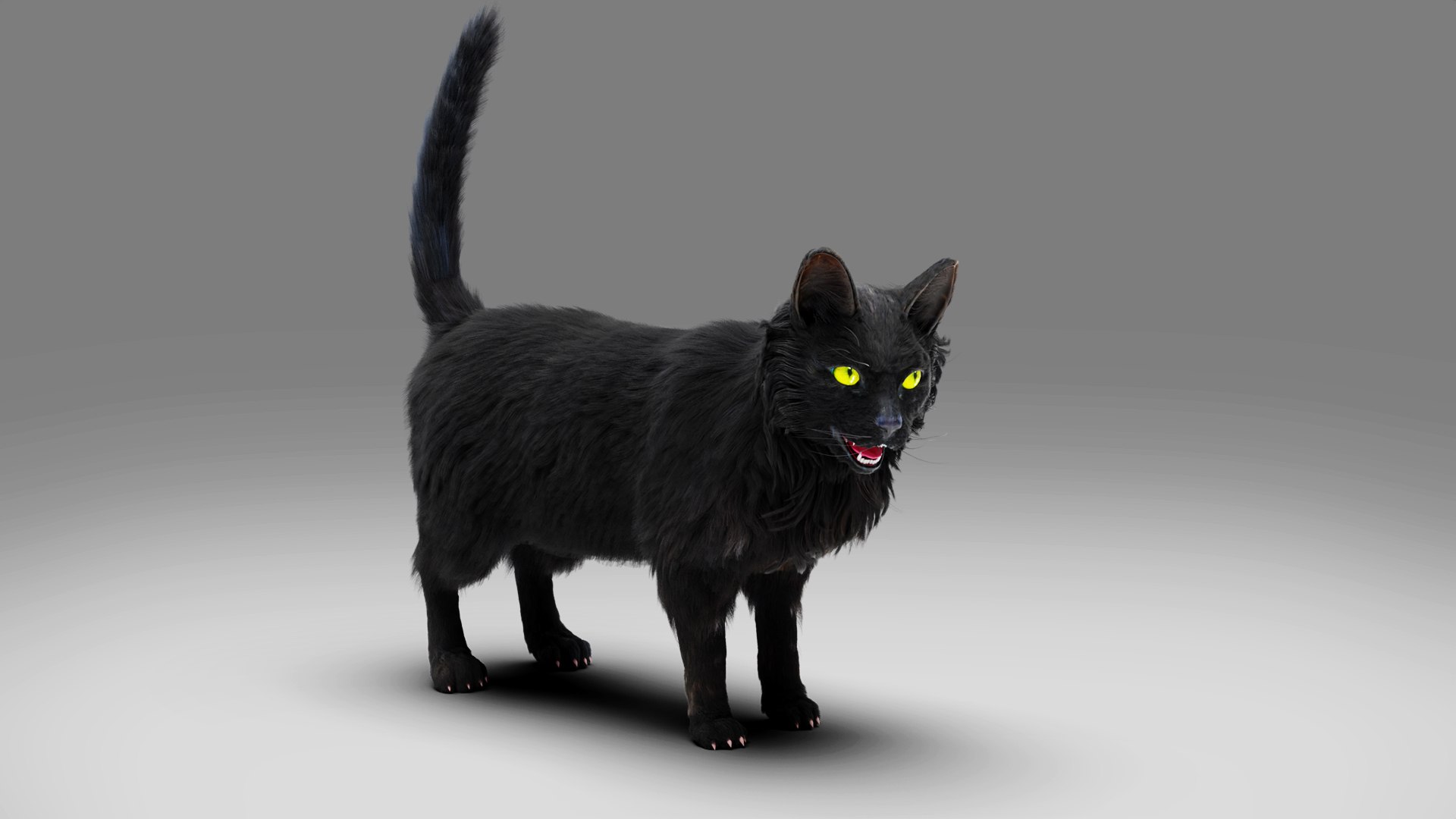 3D Fur Cat Black Rigged And Animated - TurboSquid 1981416