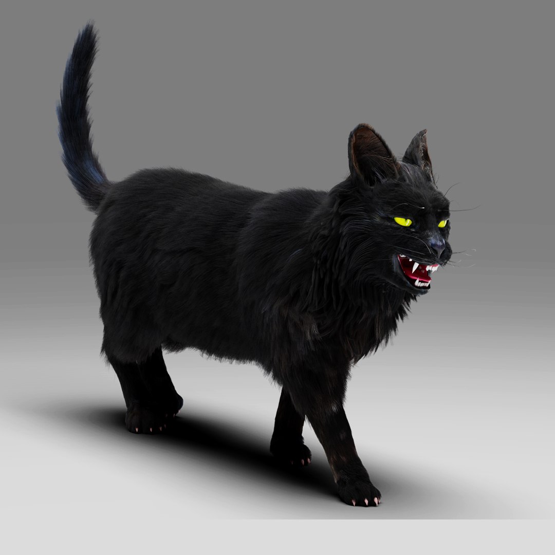modelo 3d Fur Cat Black Rigged and Animated - TurboSquid 1981416