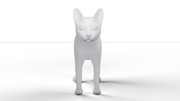 modelo 3d Fur Cat Black Rigged and Animated - TurboSquid 1981416
