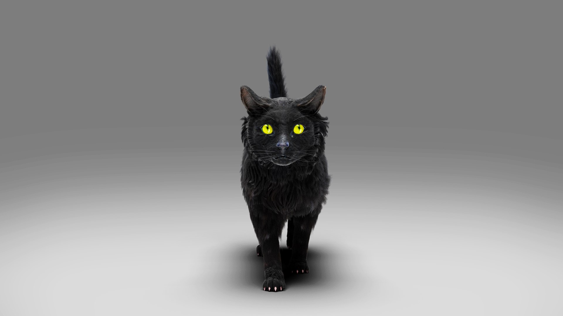 3D Fur Cat Black Rigged and Animated - TurboSquid 1981416