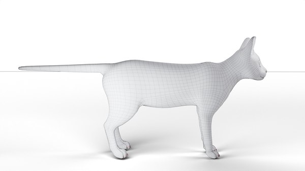 modelo 3d Fur Cat Black Rigged and Animated - TurboSquid 1981416