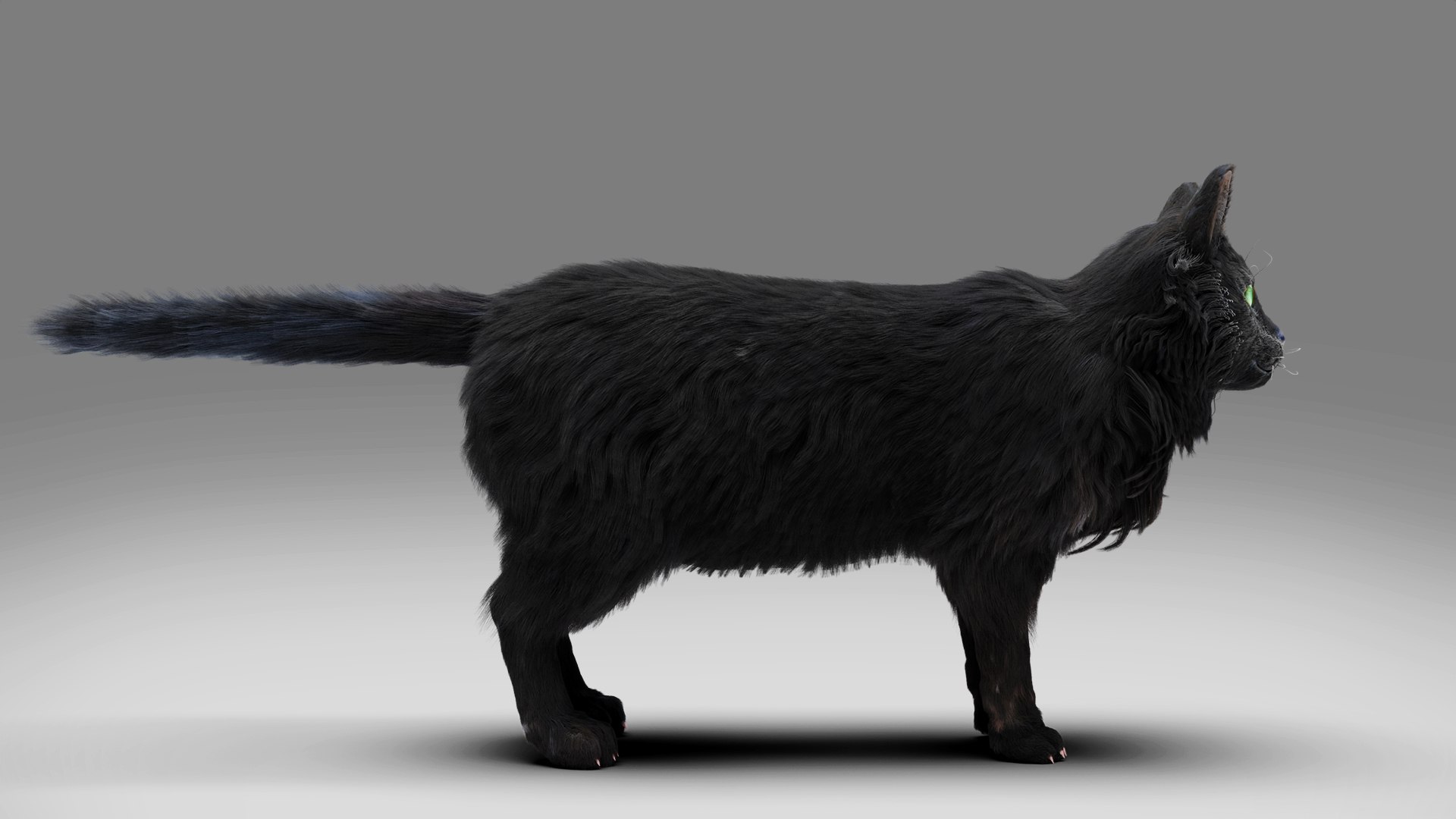 3D Fur Cat Black Rigged And Animated - TurboSquid 1981416