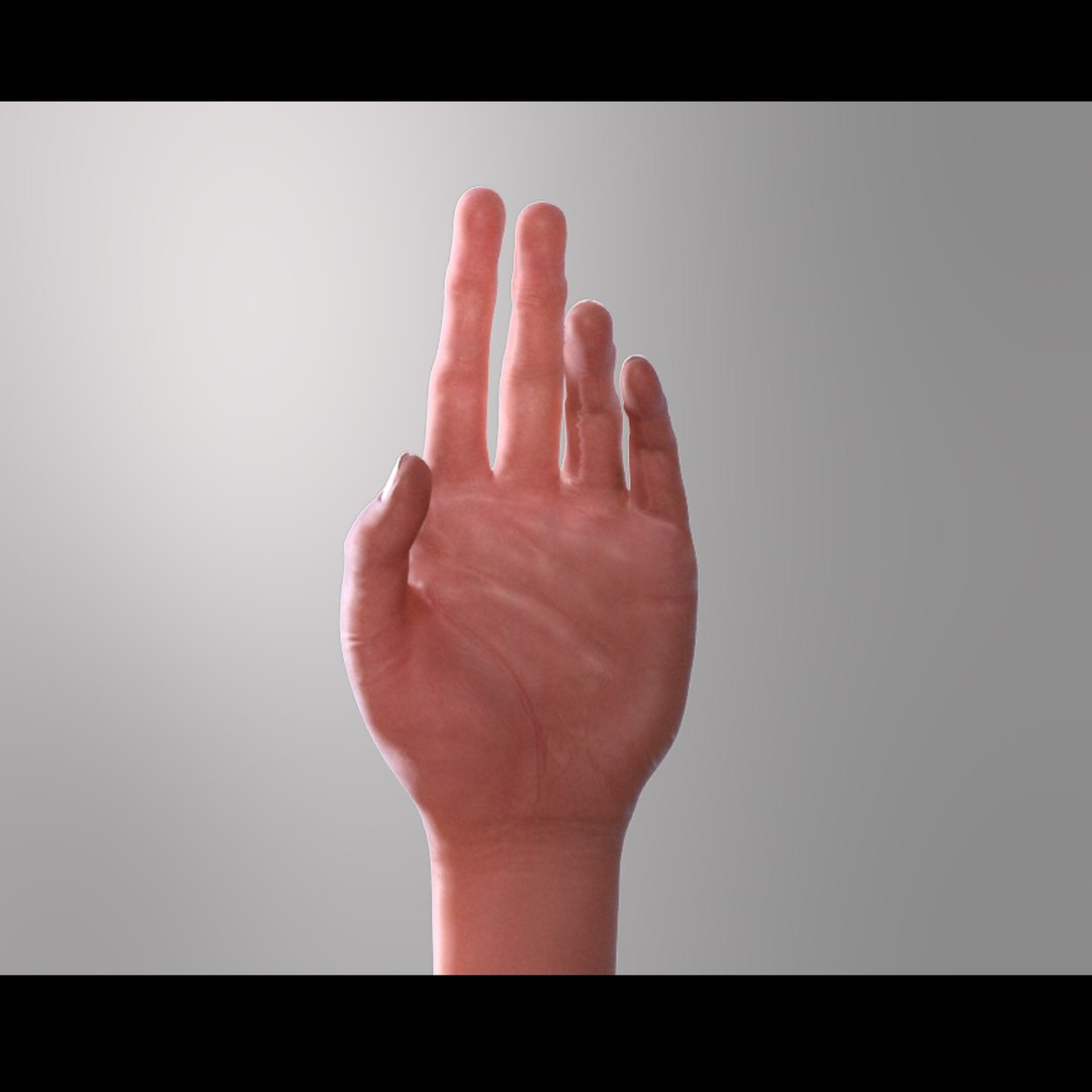Max Hand Musculature