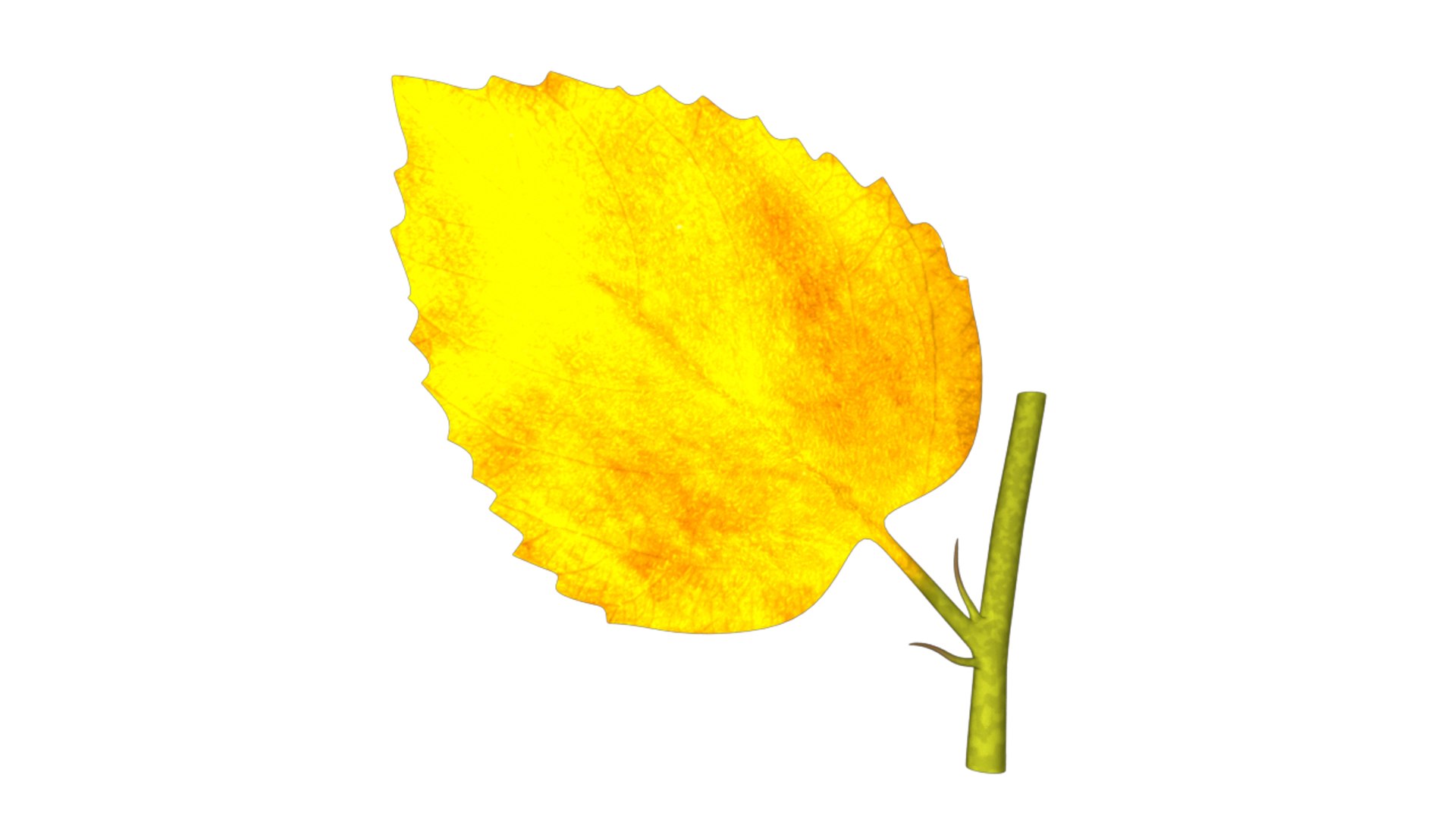 leaf mosaic obj