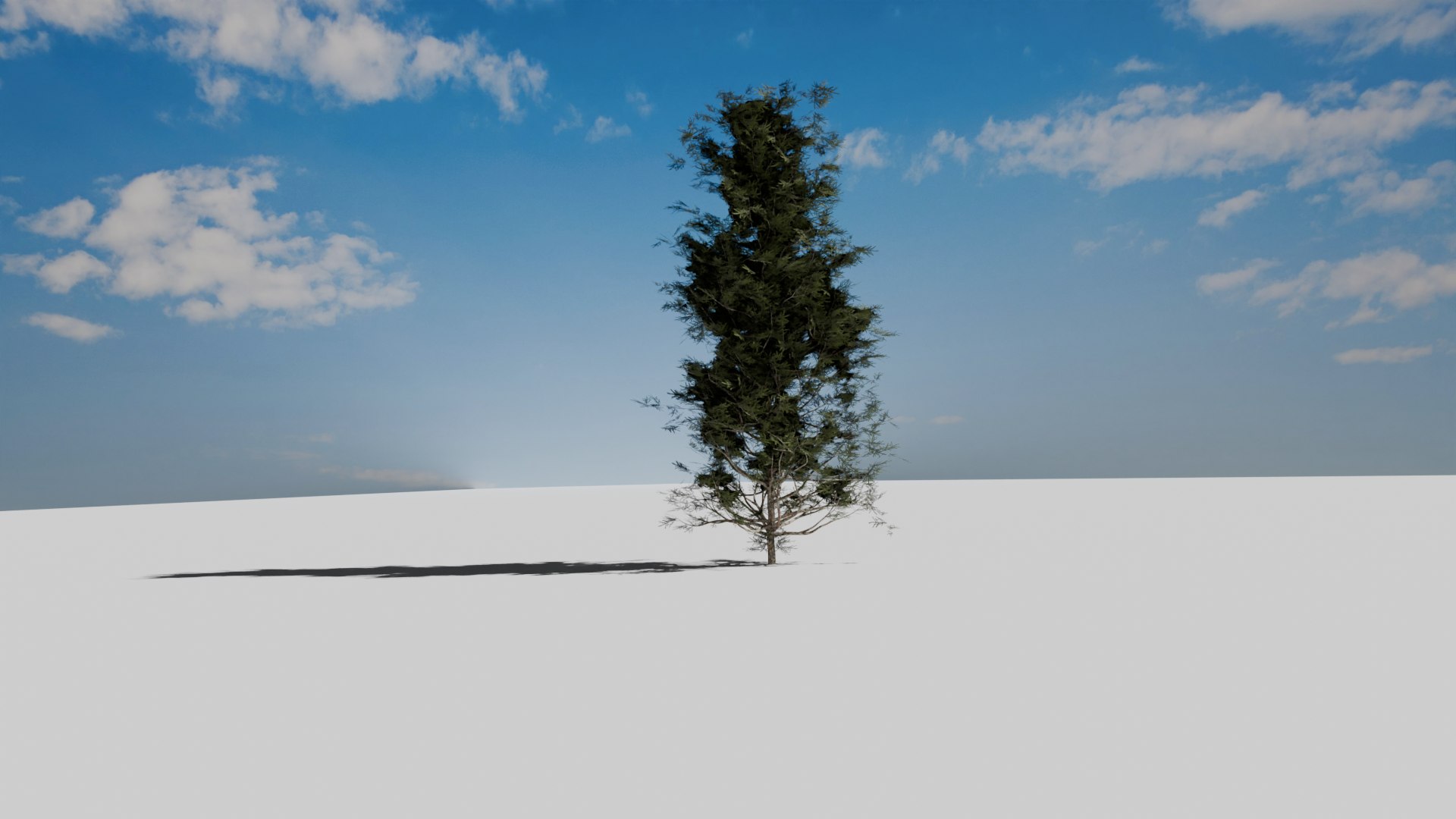 Pine Trees High Quality 3D Model - TurboSquid 2229028