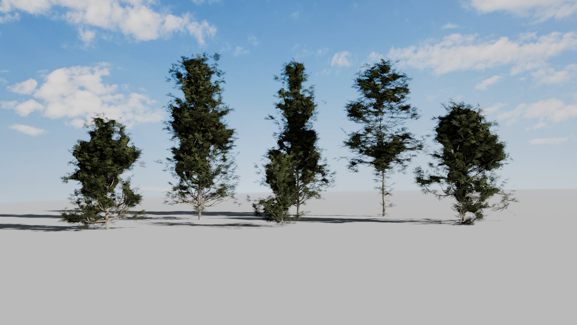 Pine Trees High Quality 3D Model - TurboSquid 2229028
