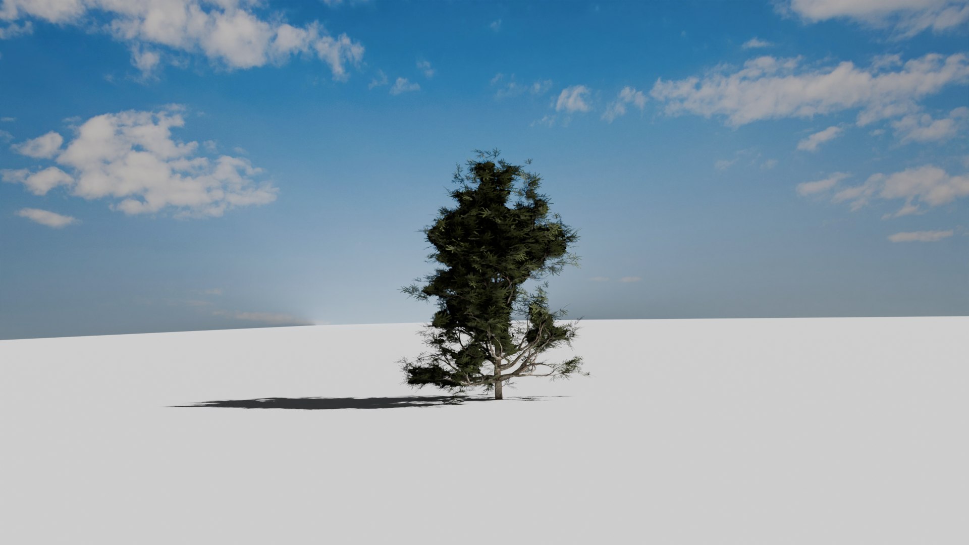 Pine Trees High Quality 3D Model - TurboSquid 2229028