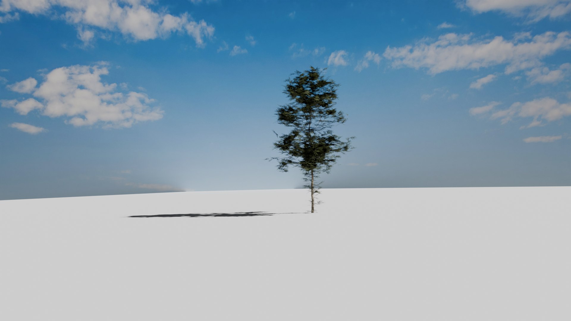 Pine Trees High Quality 3D Model - TurboSquid 2229028