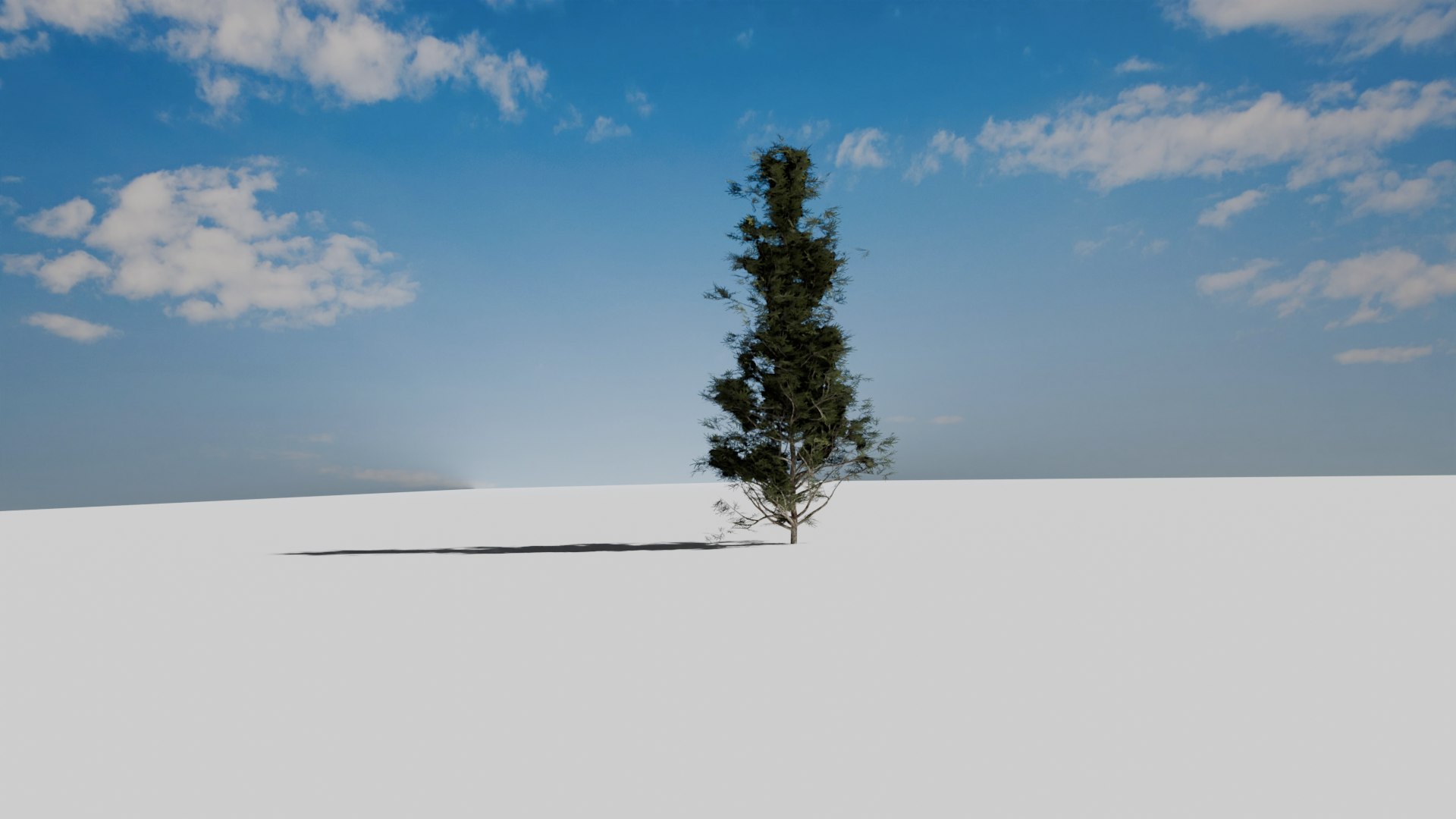 Pine Trees High Quality 3D Model - TurboSquid 2229028