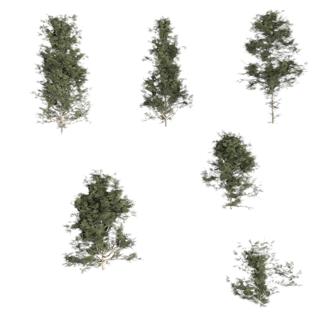 Pine Trees High Quality 3D Model - TurboSquid 2229028