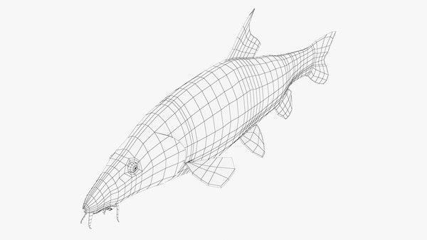 Common Barbel 3D 모델 - TurboSquid 1889497