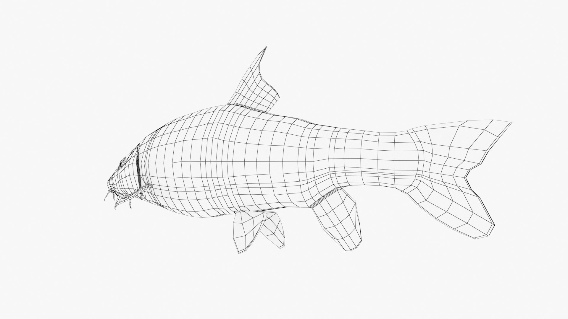 Common Barbel Model - TurboSquid 1889497