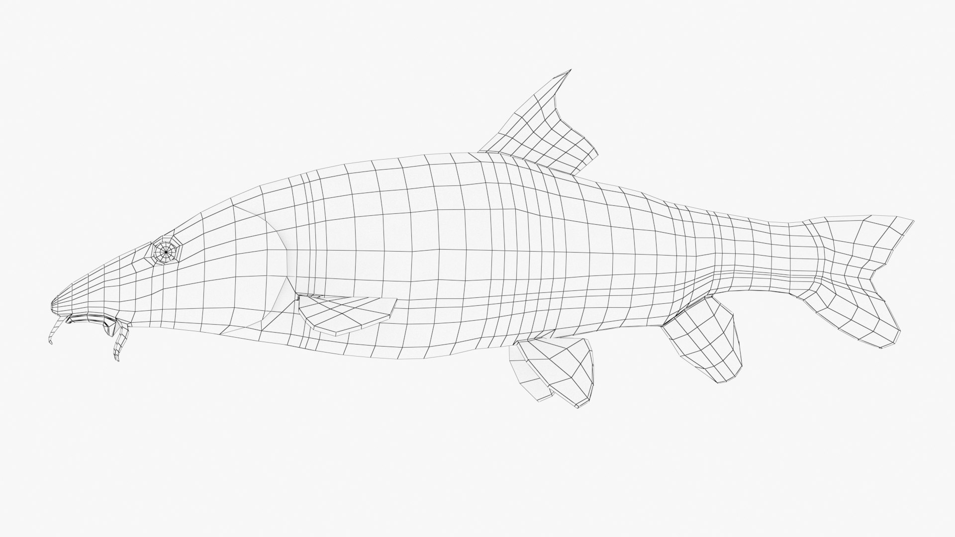 Common Barbel Model - TurboSquid 1889497