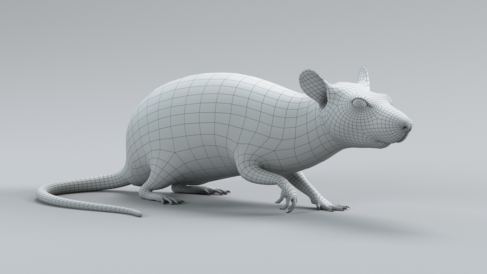 Norway Rat Rigged Xgen 3D Model - TurboSquid 2370122