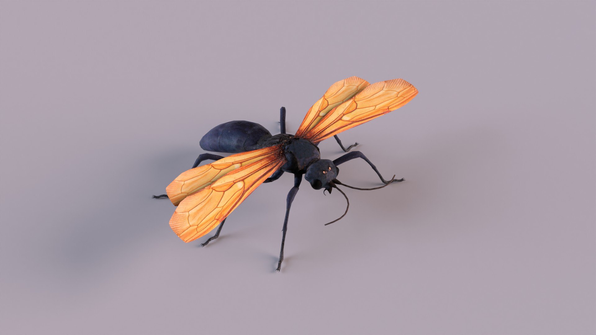 Tarantula Hawk Wasp 3D Model - TurboSquid 1323174