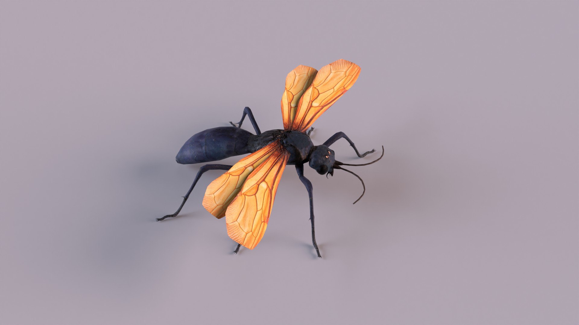 Tarantula Hawk Wasp 3D Model - TurboSquid 1323174