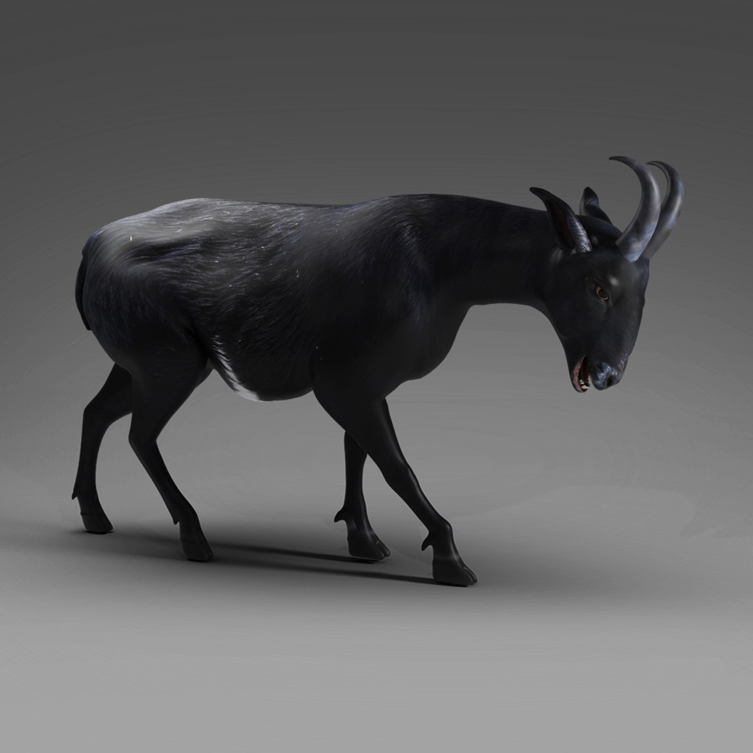3D Goat 05 Rigged In Blender - TurboSquid 2010368