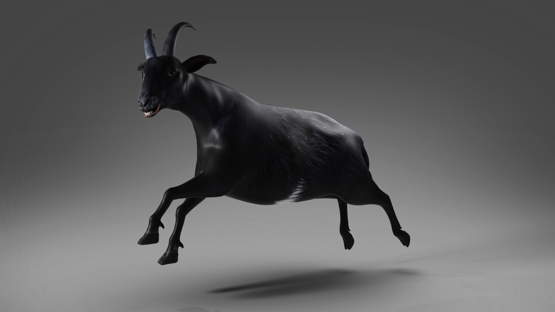 3D Goat 05 Rigged In Blender - TurboSquid 2010368