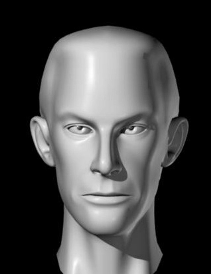 3d Human Heads Faces Model