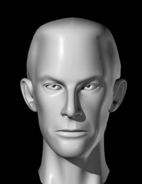 3d human heads faces model