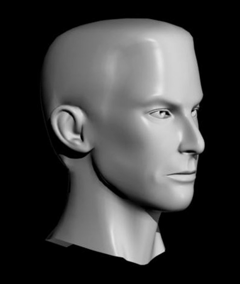 3d Human Heads Faces Model