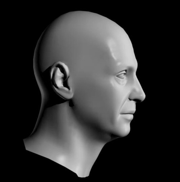 3d human heads faces model