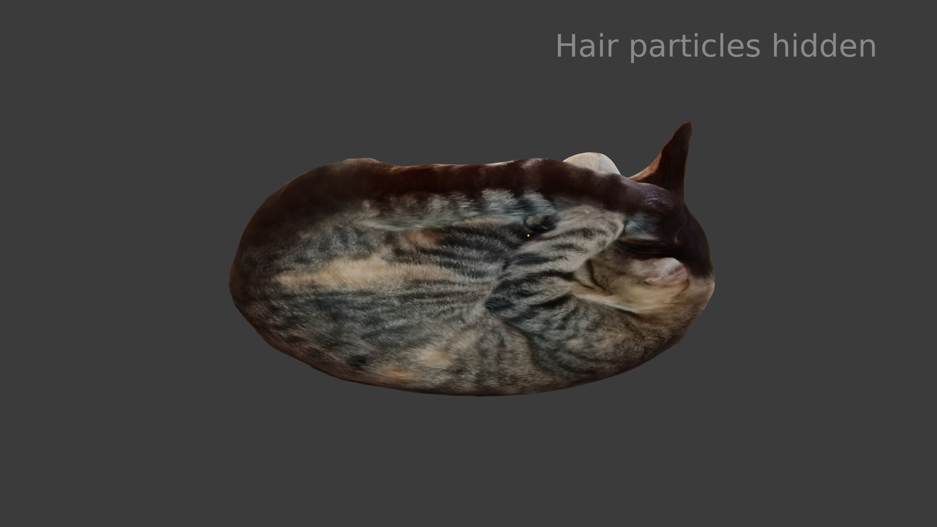 Cat Sleeping 3D Model - TurboSquid 1999898