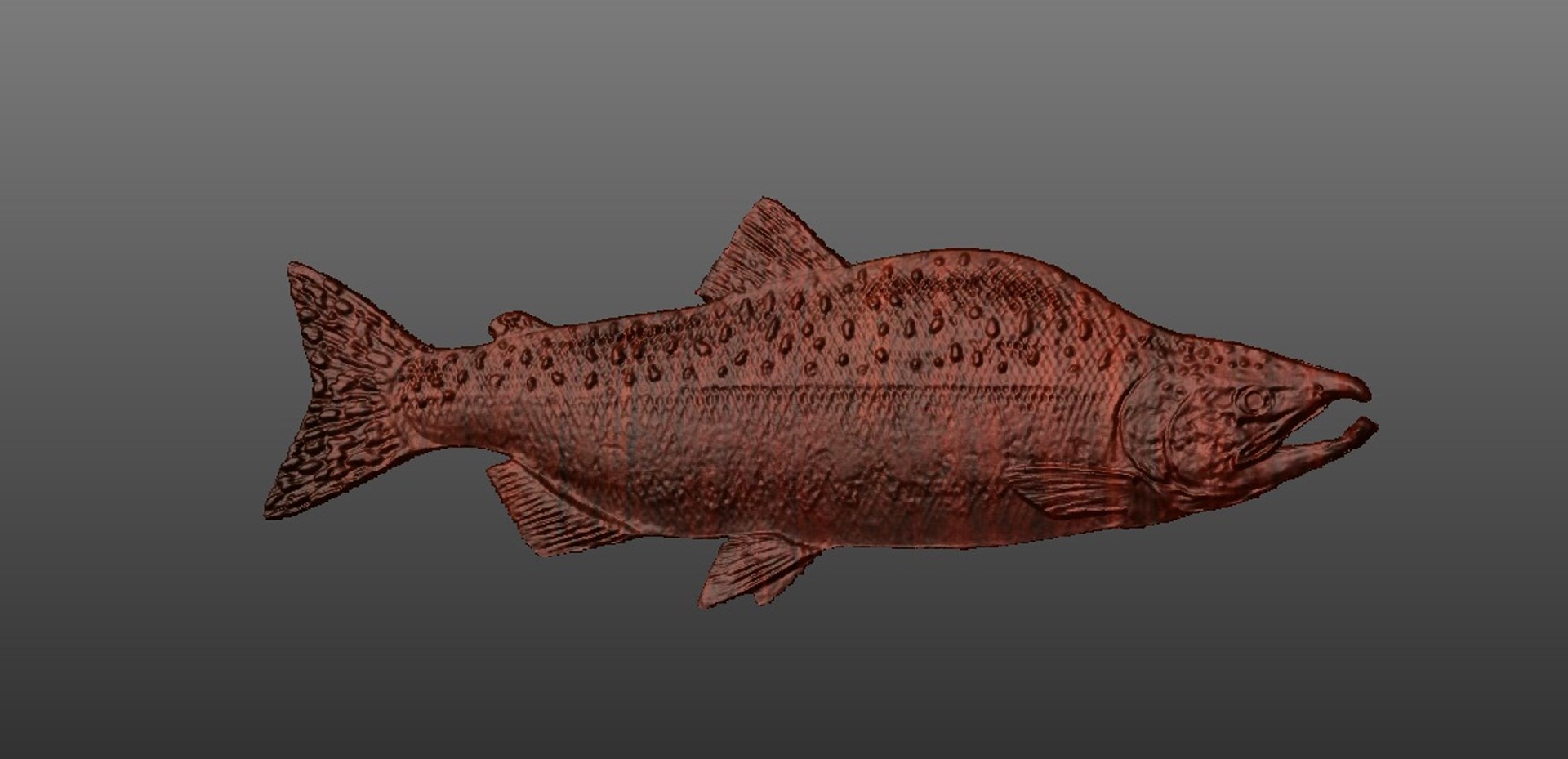 3d salmon model