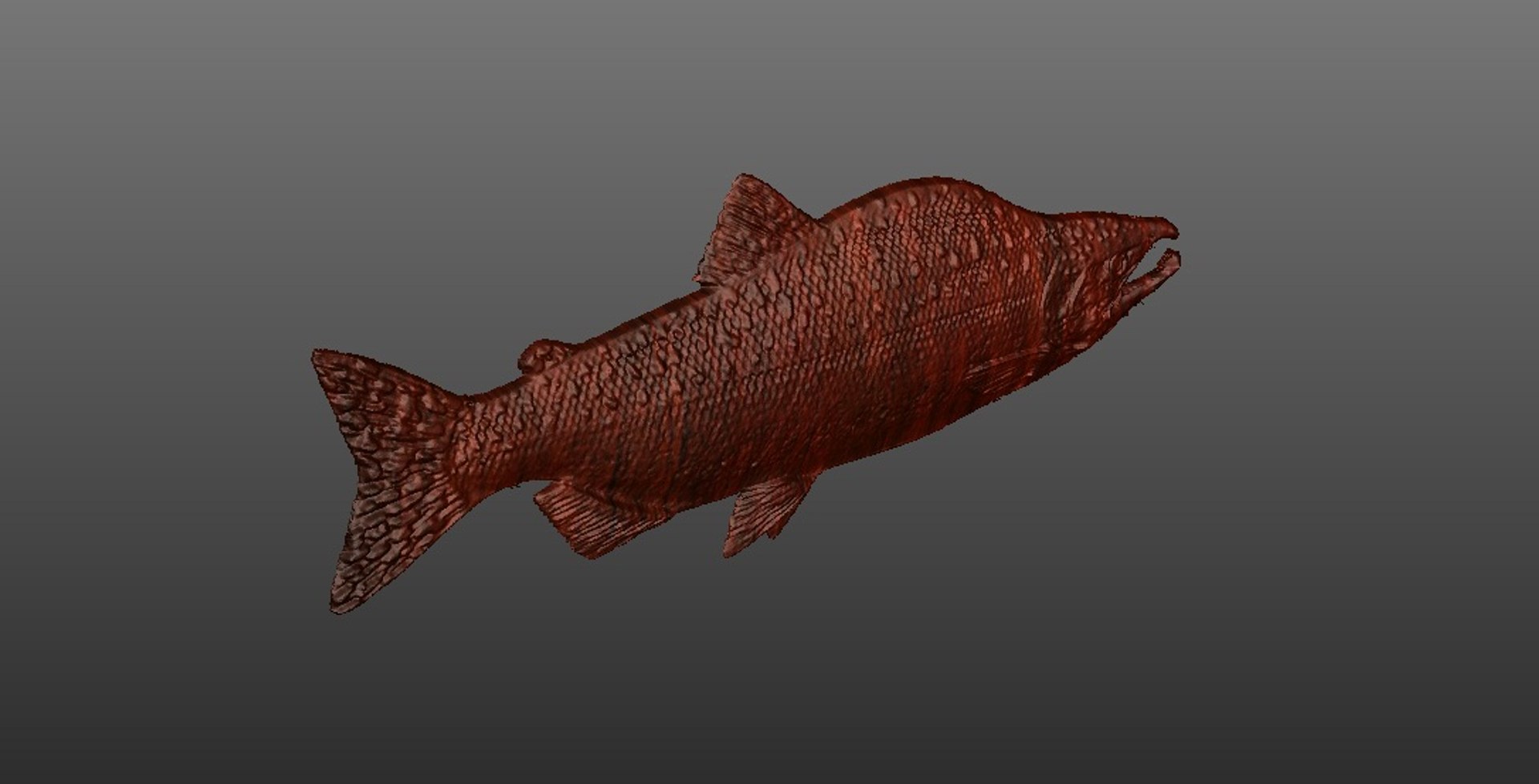 3d salmon model