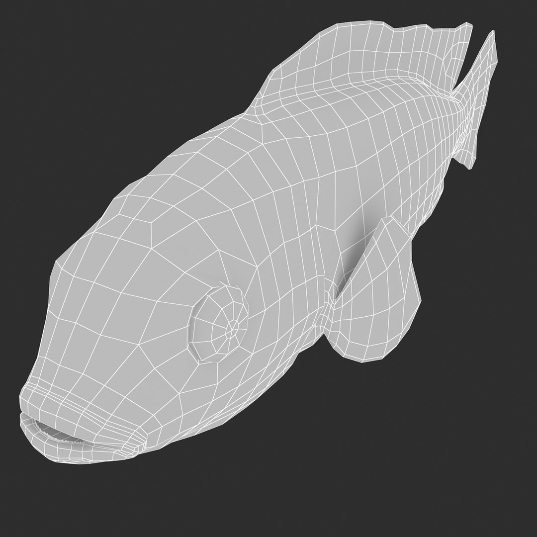 Tropical Fish Cichlid 3d 3ds