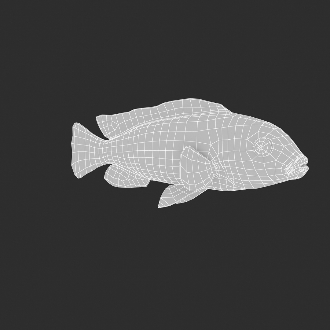 Tropical Fish Cichlid 3d 3ds