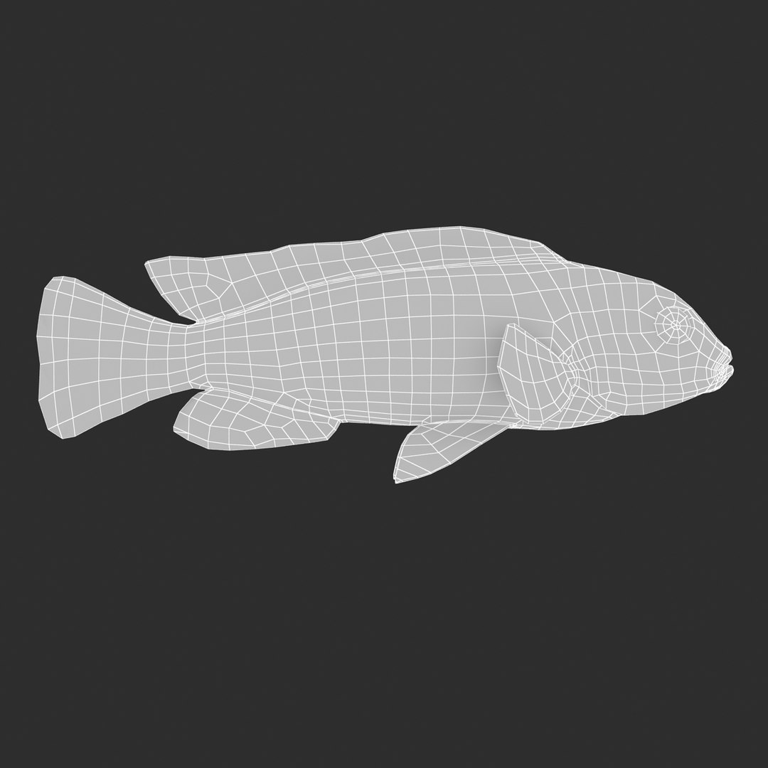 Tropical Fish Cichlid 3d 3ds