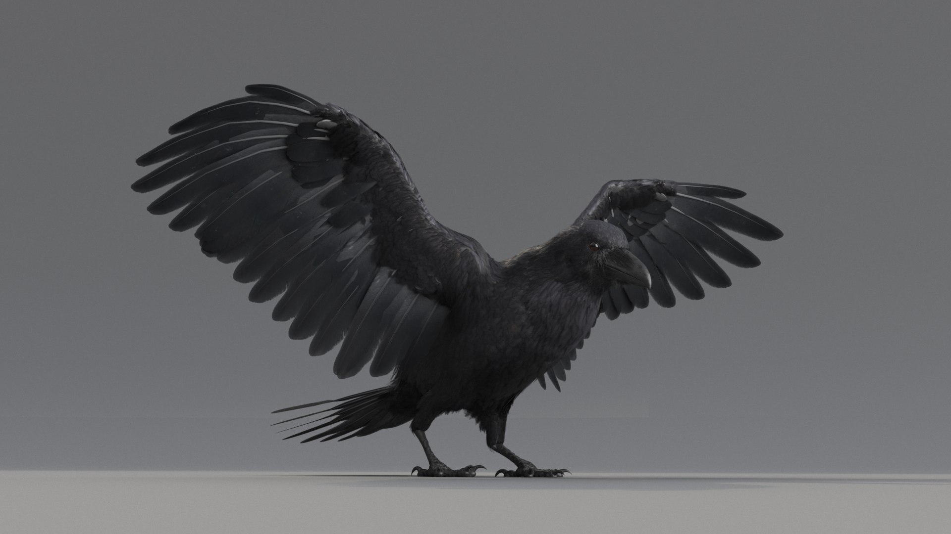 3D Raven RIGGED - TurboSquid 2141527