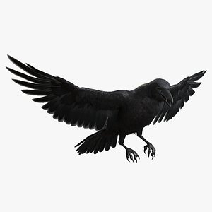 Download Free & Premium Raven 3D Models | TurboSquid