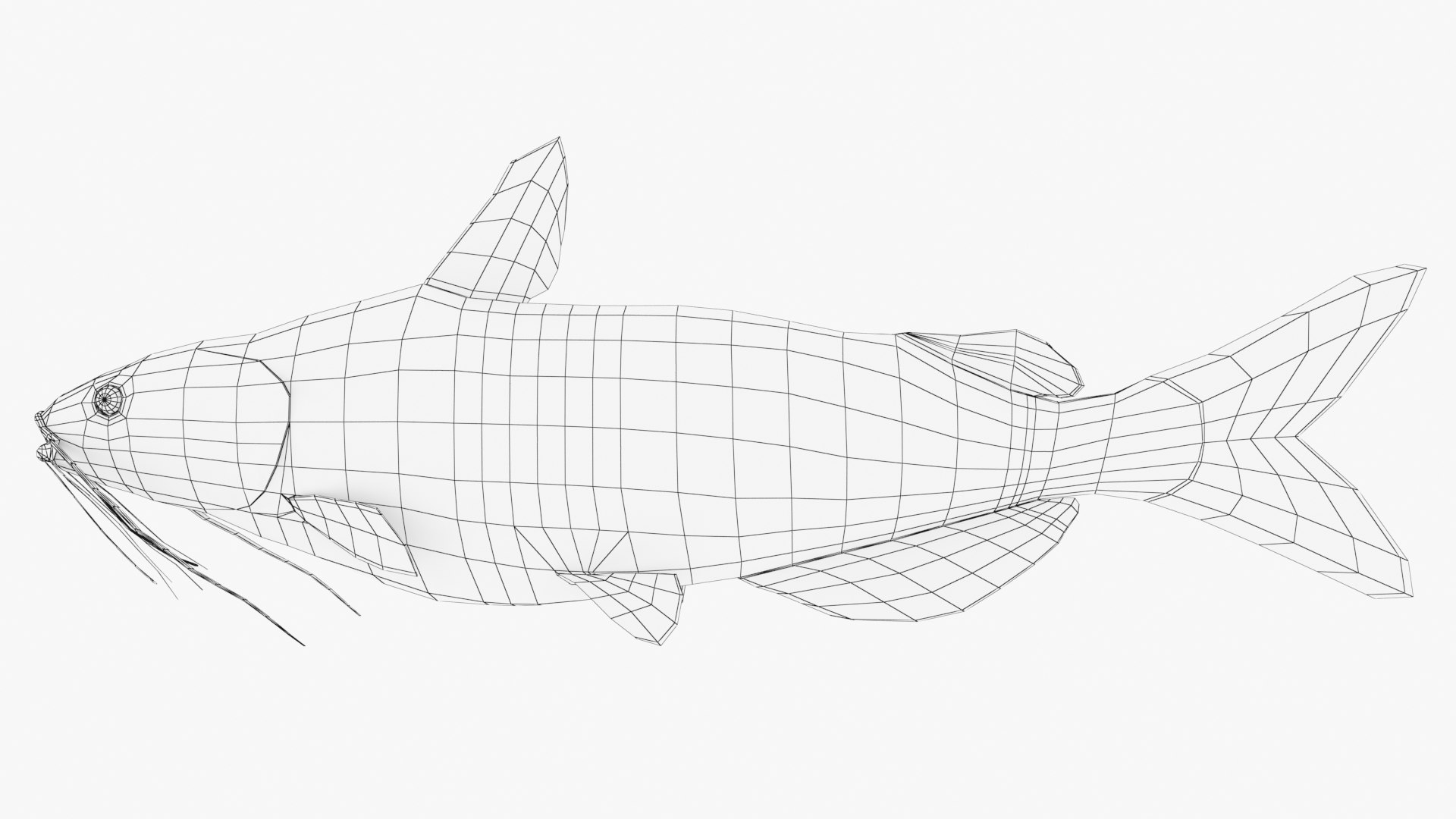 Trophy Channel Catfish Model - TurboSquid 2073976
