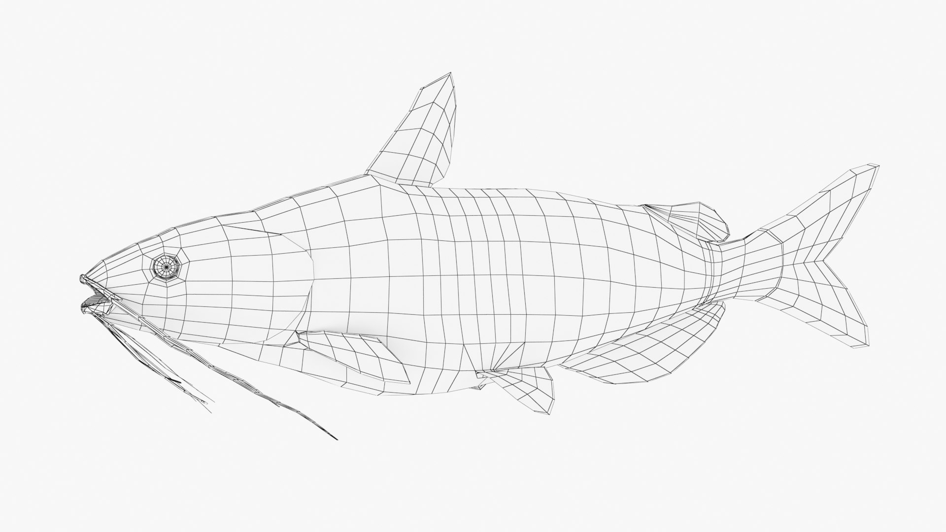 Trophy Channel Catfish Model - TurboSquid 2073976