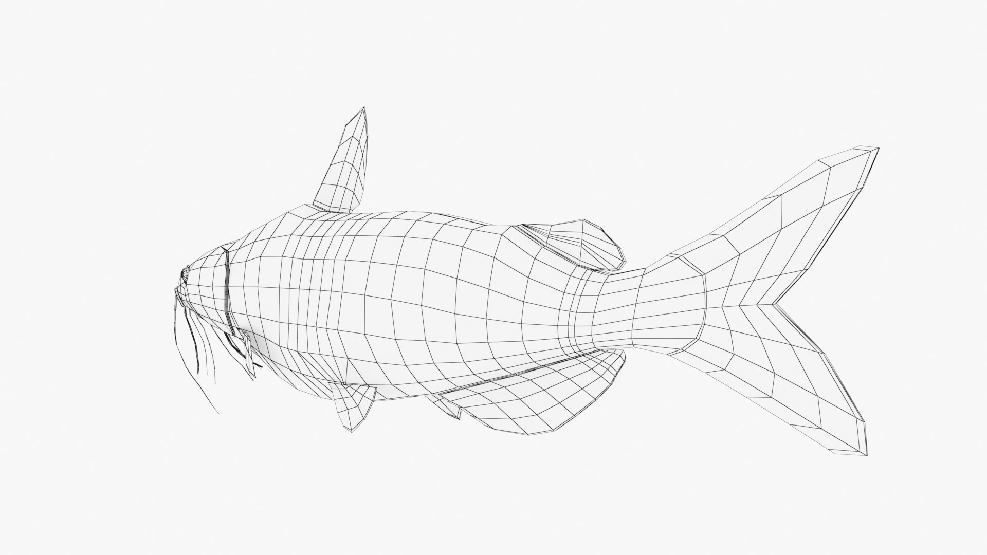 Trophy Channel Catfish Model - TurboSquid 2073976