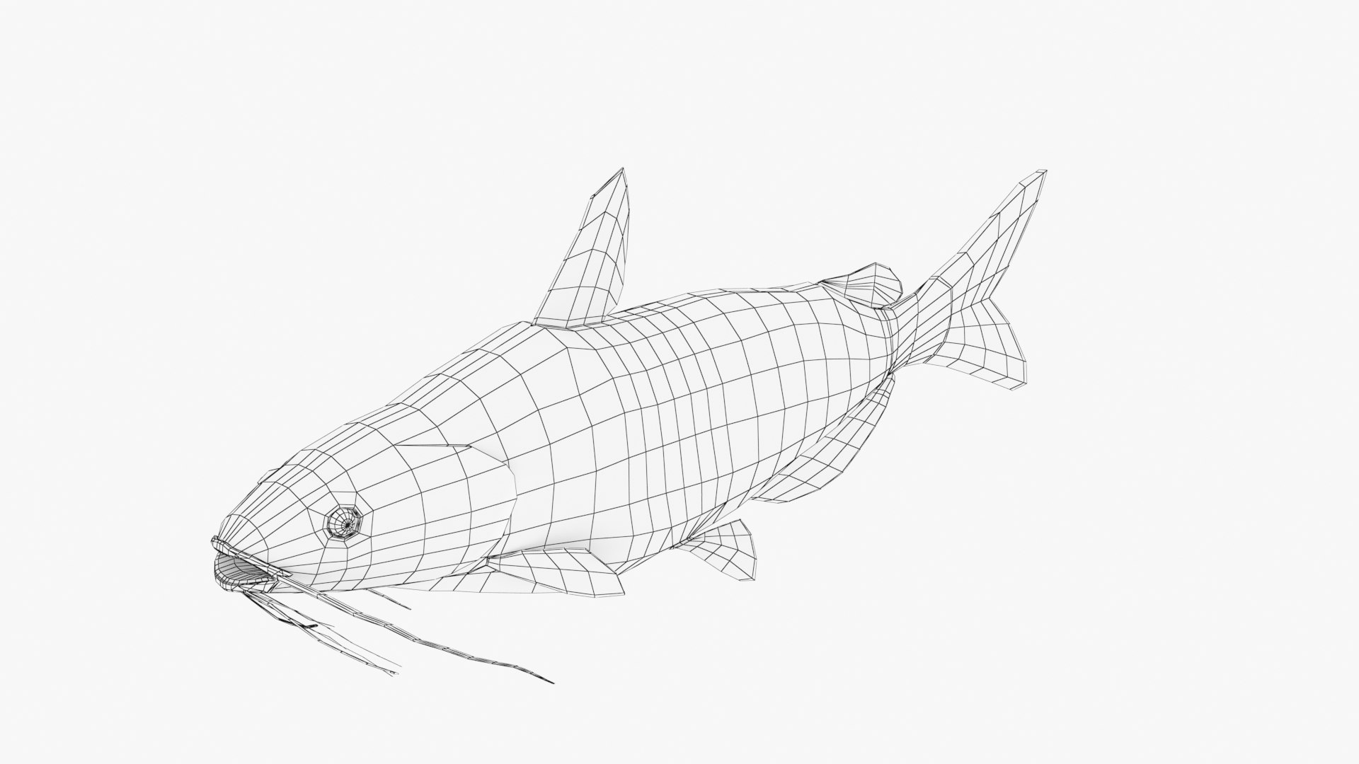 Trophy Channel Catfish Model - TurboSquid 2073976