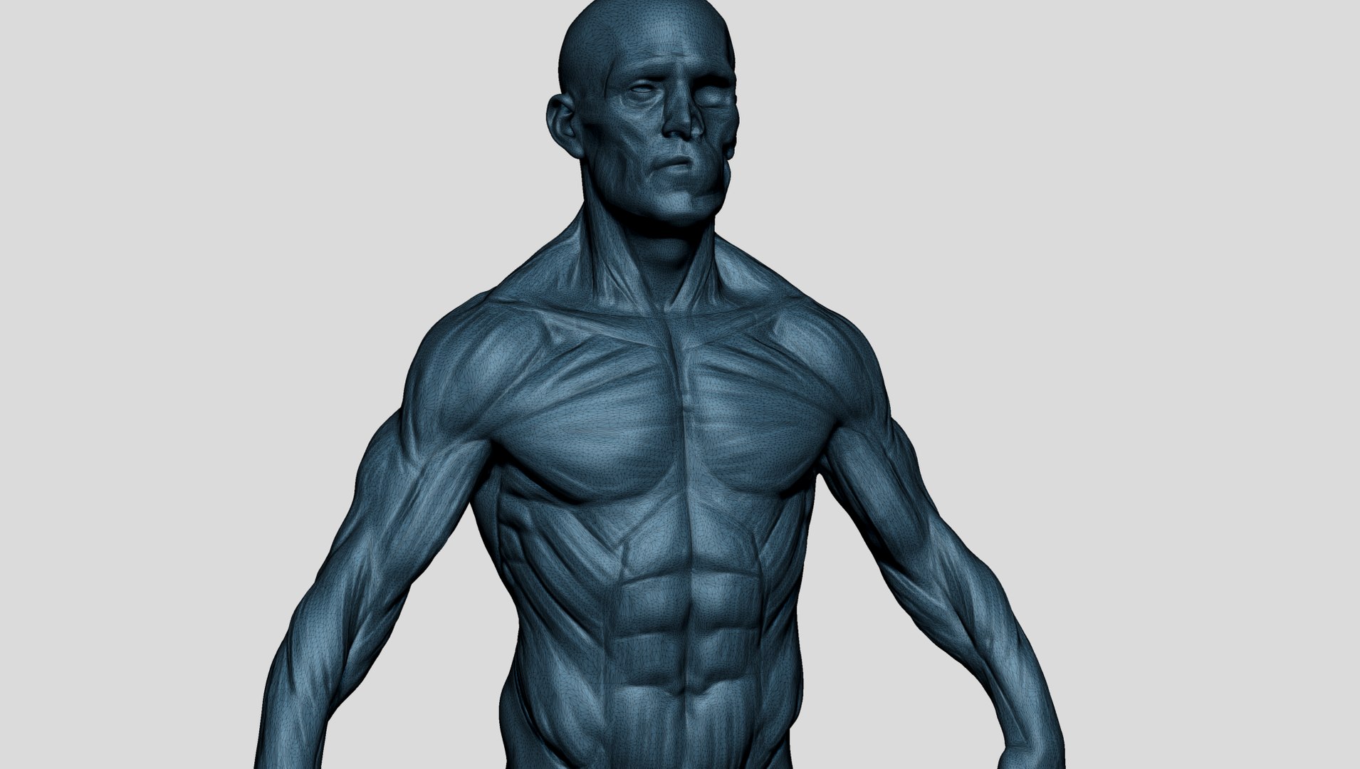 Male Poses 3D Model - TurboSquid 2203204