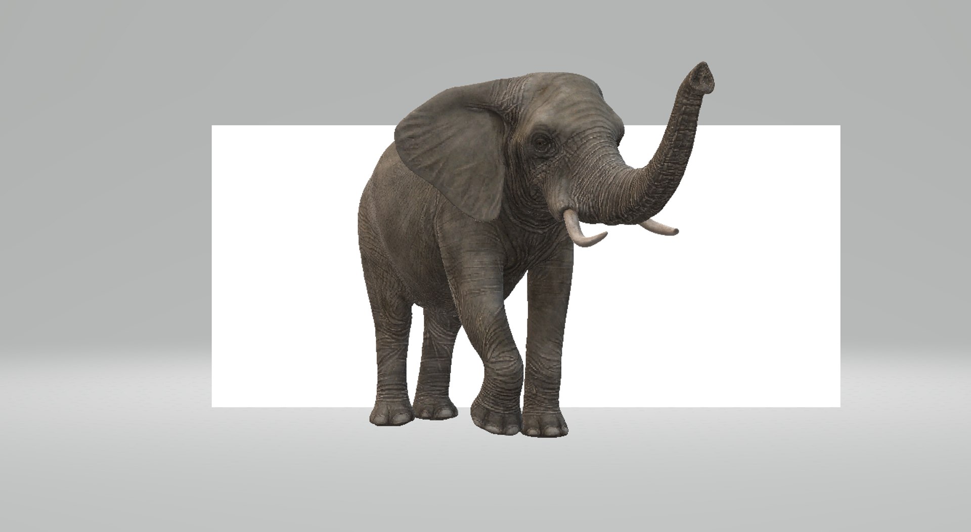 Elephant 3D Model - TurboSquid 1236163